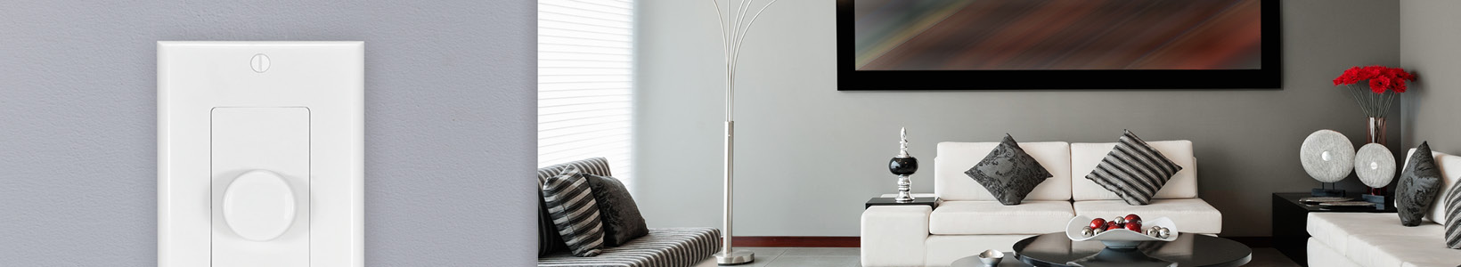 Volume Controls | Whole House Audio